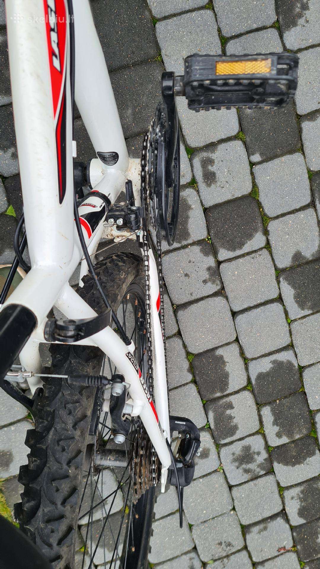 Vaikiškas dviratis Drag 24″ | A28942773