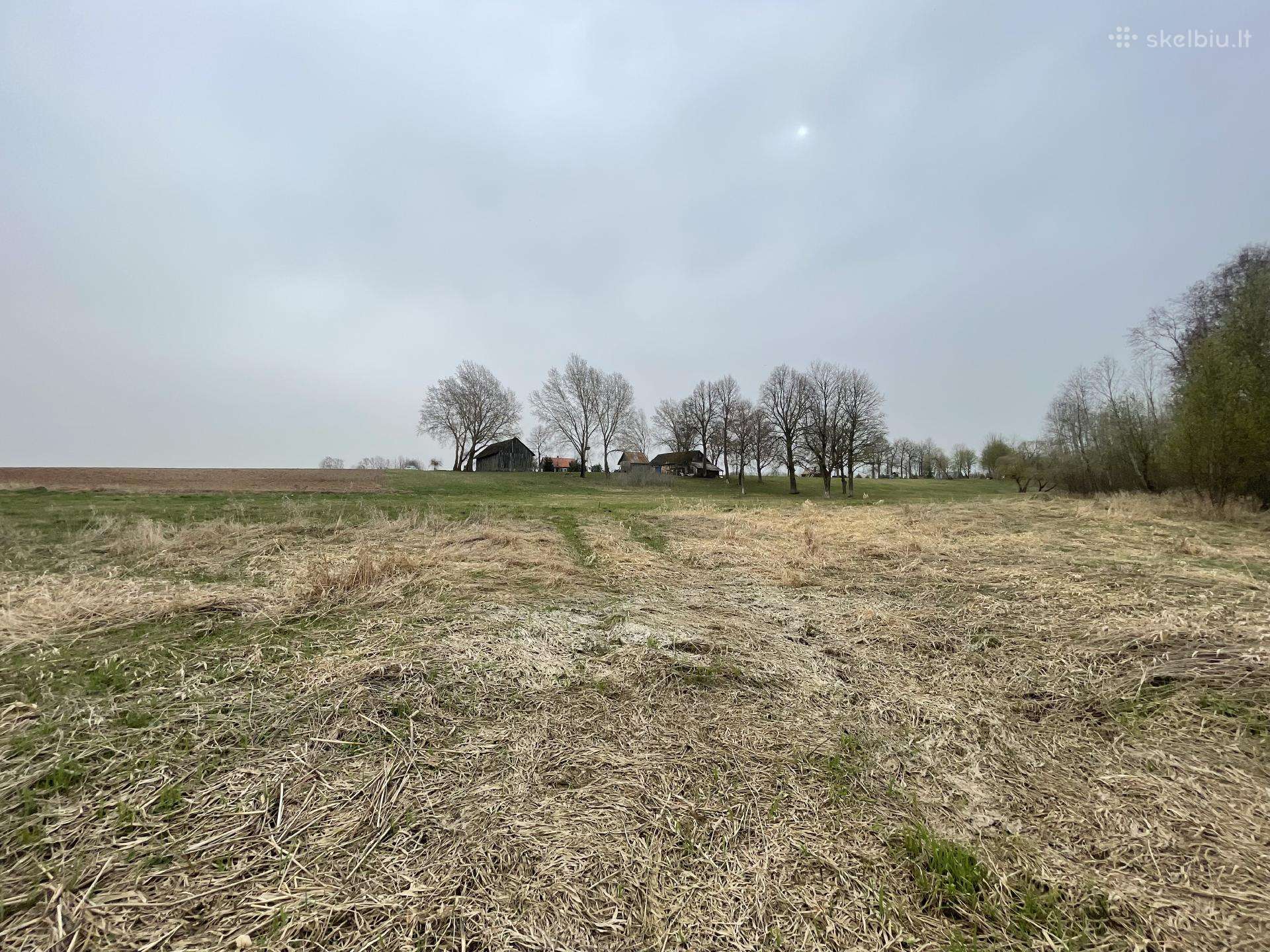 Namas, Pasvalio r. Auriliškių k., medinė sodyba Nekilnojamo turto ...