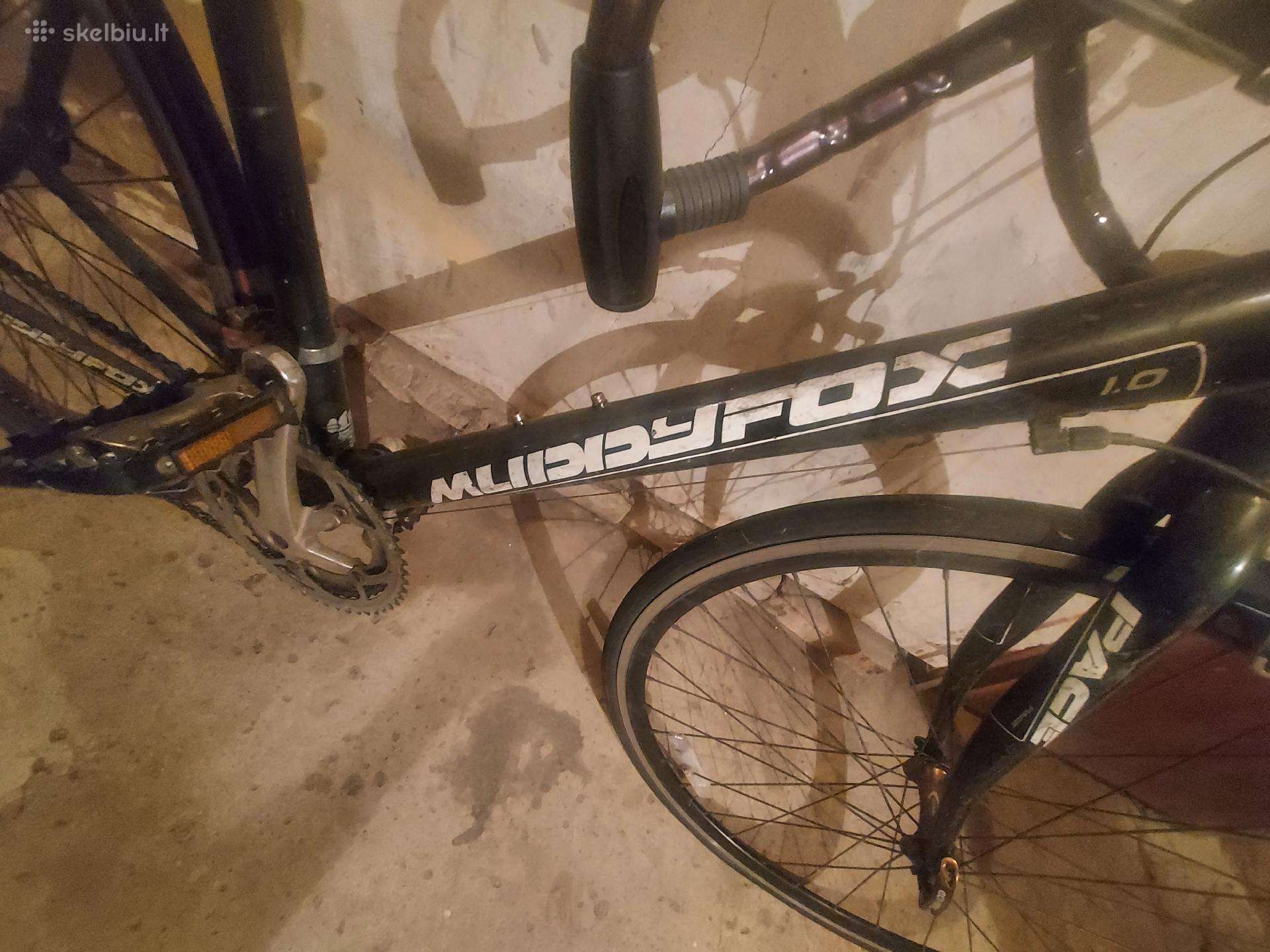 Plento, sportinis dviratis Focus 24″ | A25964148