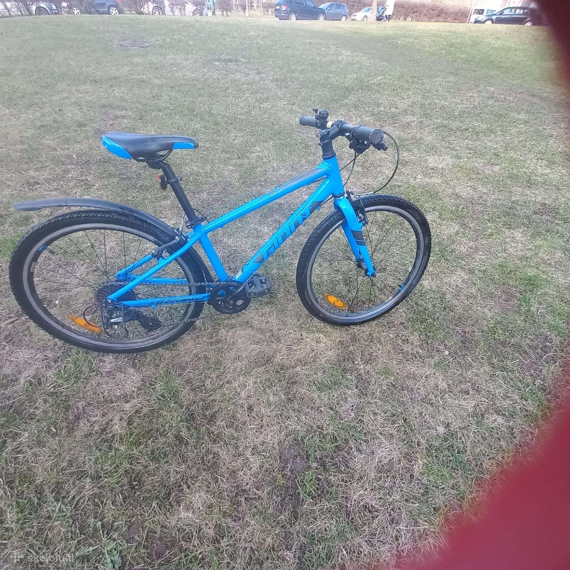 Vaikiškas dviratis Giant 24″ | A27921039