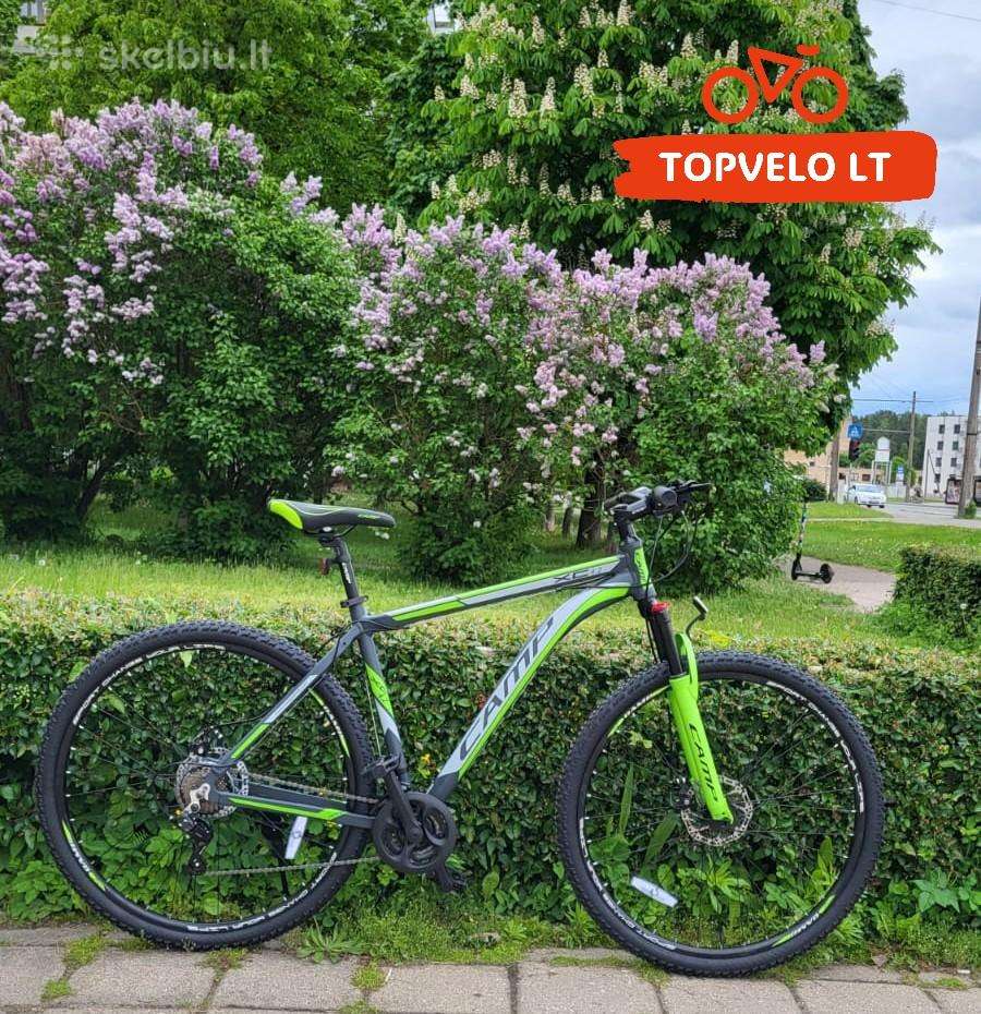 Kalnų dviratis Camp 29″ | A27482989