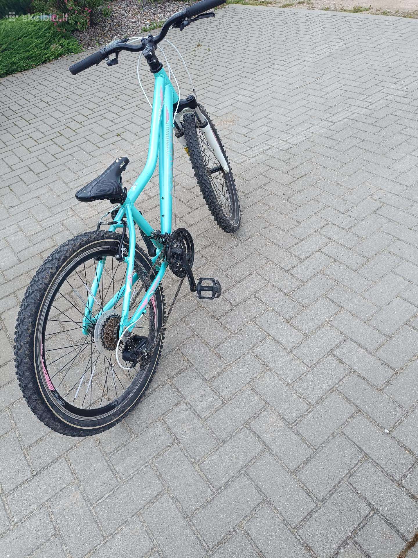 Kalnų dviratis Kands | A28751587