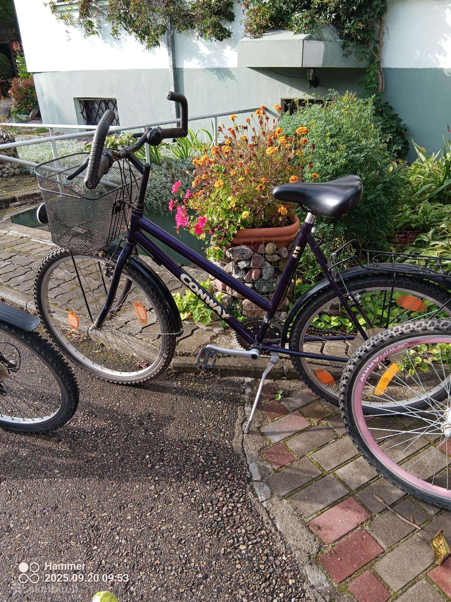 Miesto dviratis Academy | A29150511