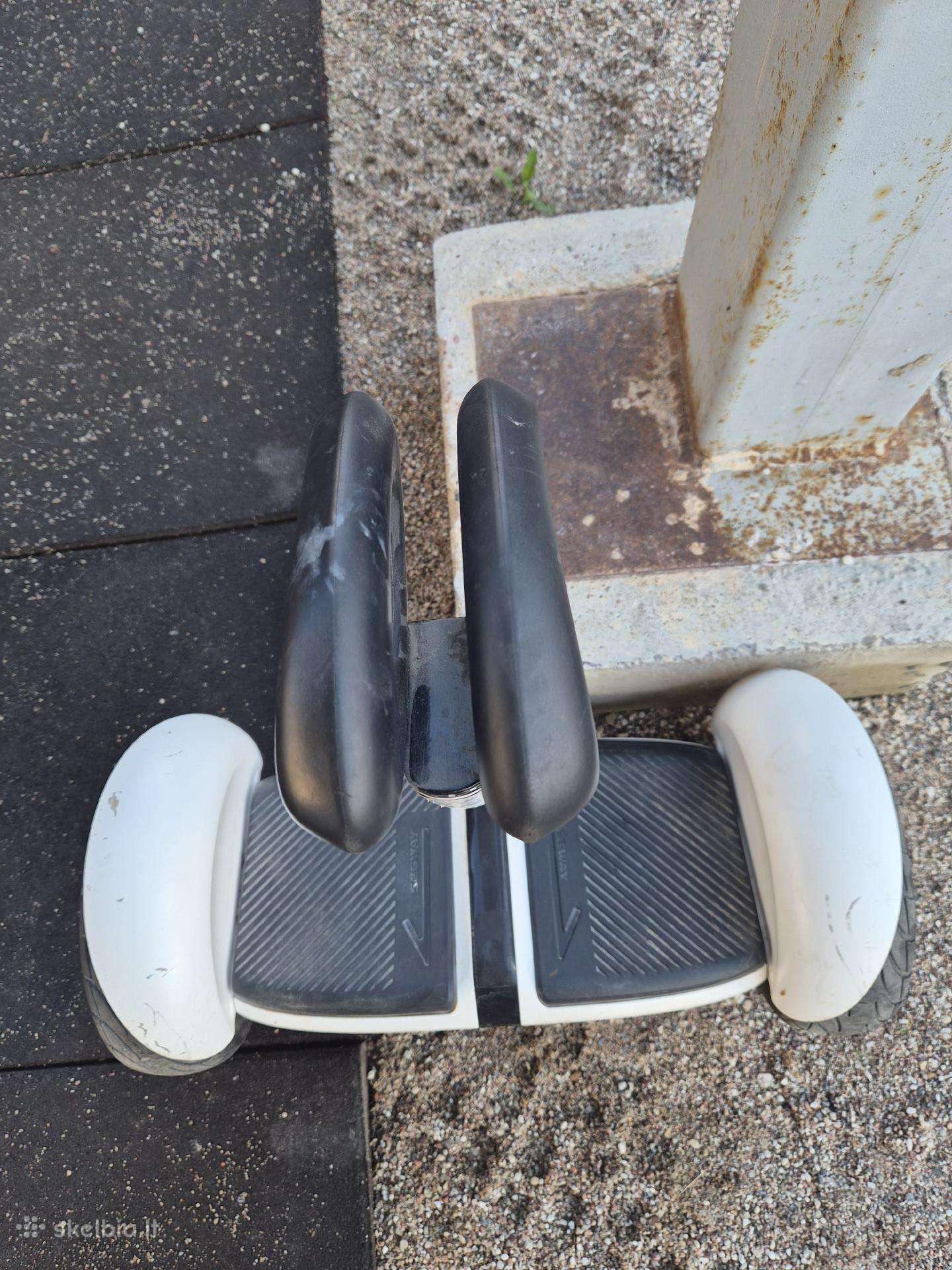 Riedis Segway | A31145428